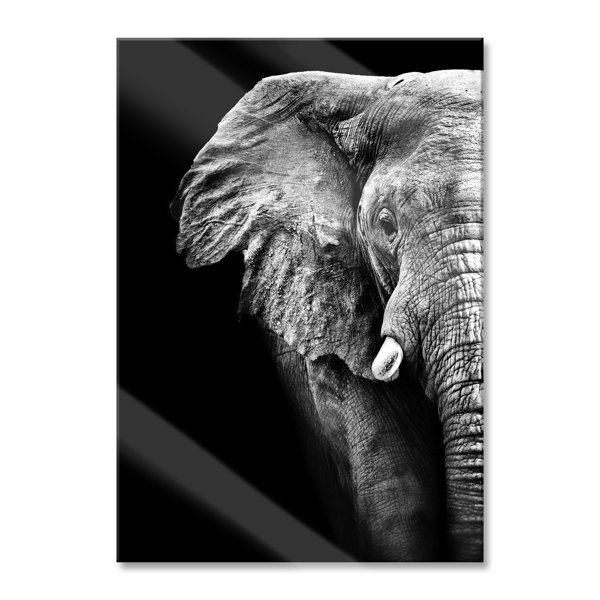 17 Stories Glasbild Elefant Porträt | Wayfair.de